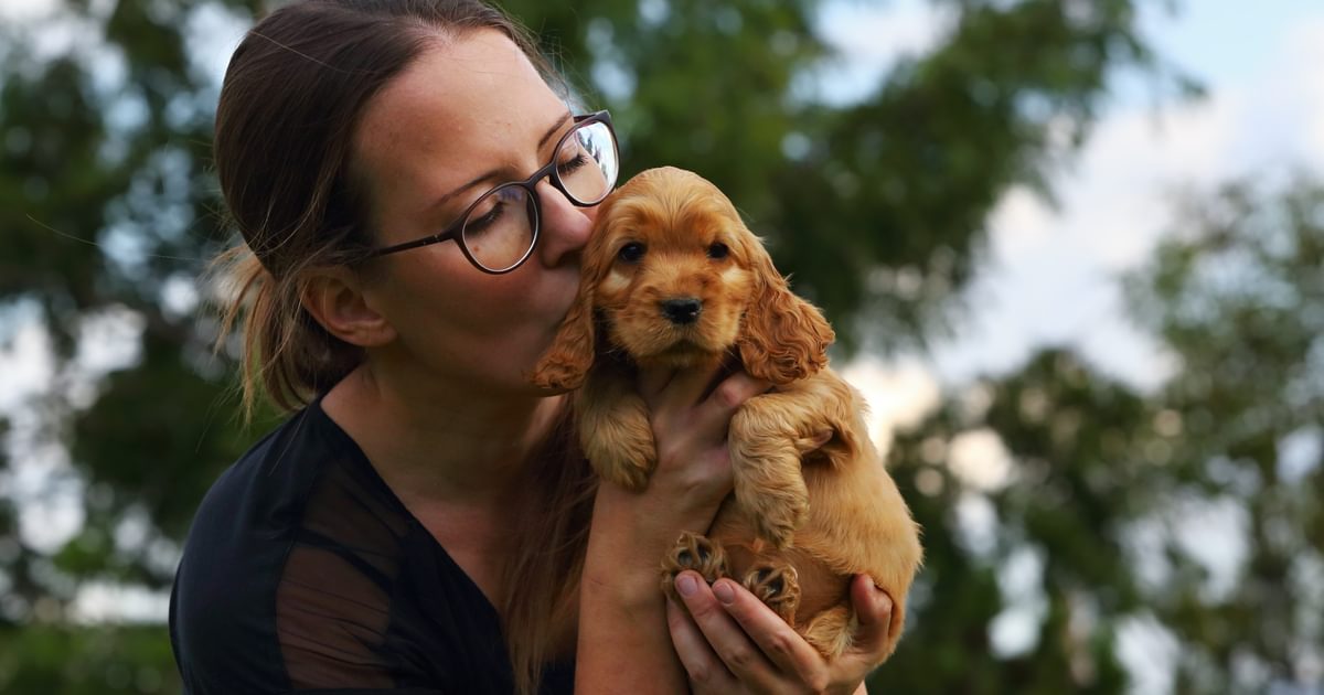 Succesverhalen van 2023! | Bazoeki